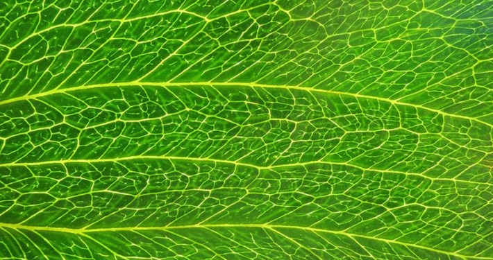 PRESS RELEASE: Groundbreaking New Documentary about Psychedelics in ...